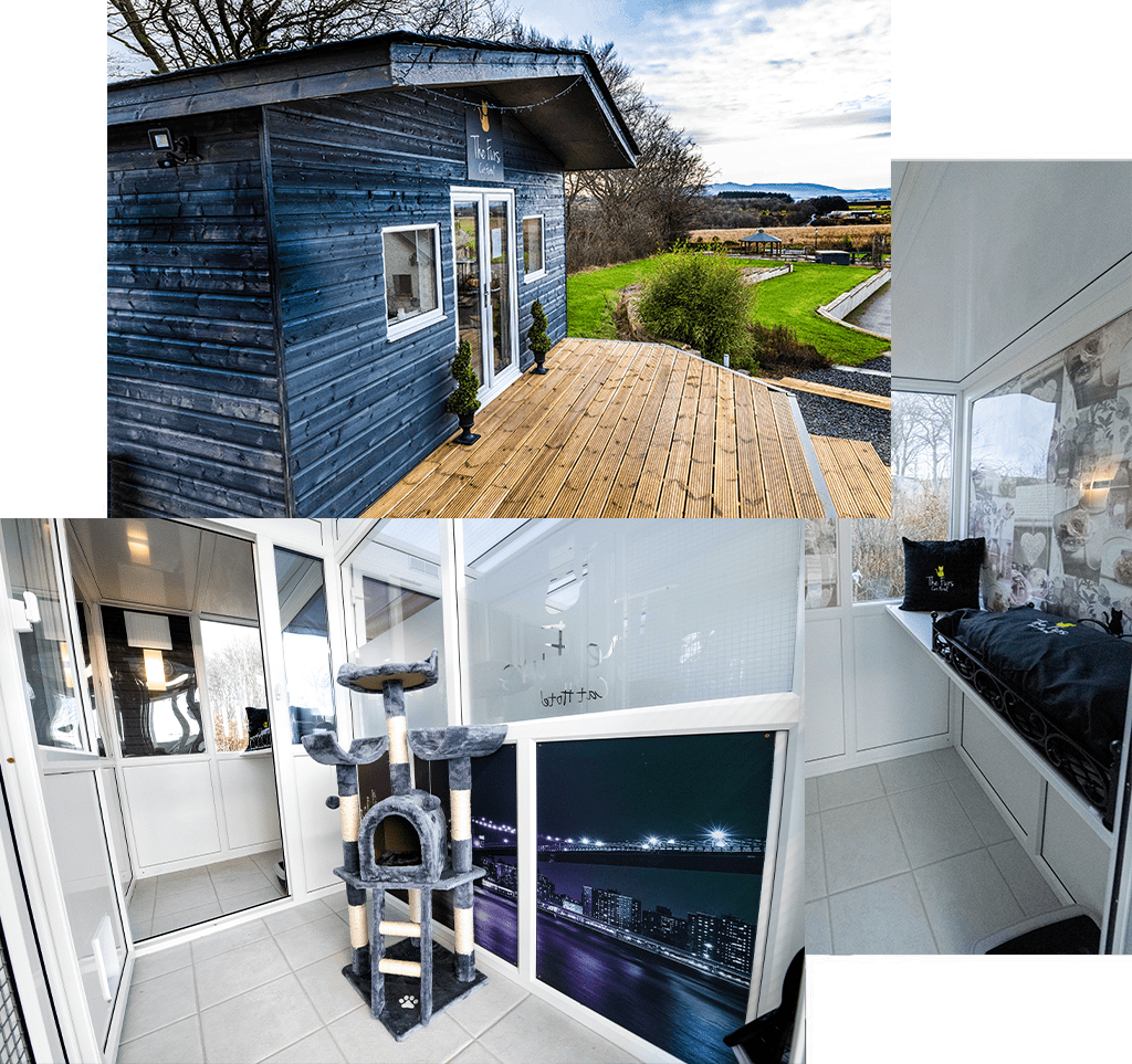 Our Suites | The Furs Cat Hotel